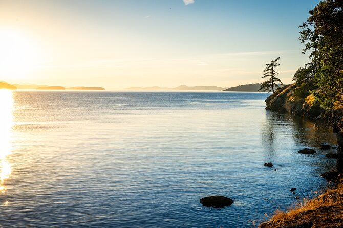 Bioluminescence and Sunset Kayak Tour in the San Juan Islands - FAQ