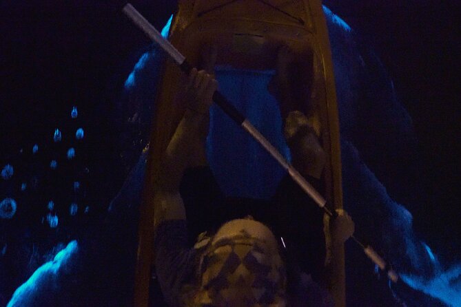 Bioluminescence Kayak Tour - The Details of the Experience