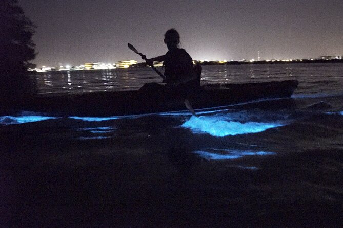 Bioluminescence Kayak Tour - Who is This Tour Best For?