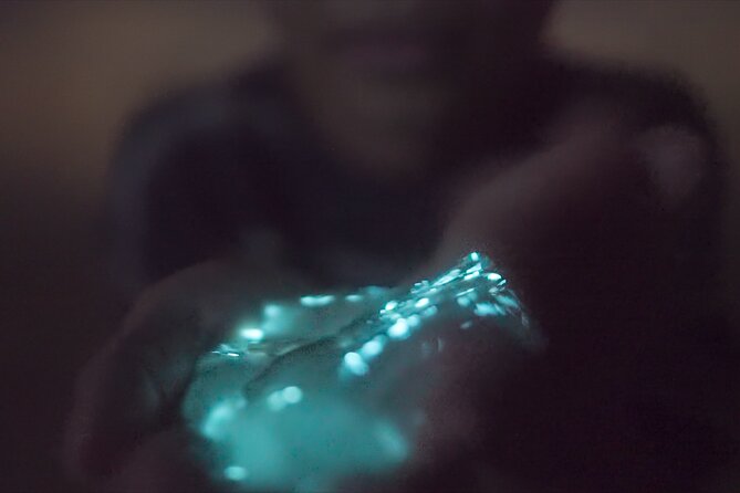 Bioluminescence Kayak Tour - The Sum Up