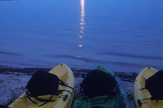 Bioluminescence Night Kayaking Tour of Merritt Island Wildlife Refuge - Why This Tour Offers Great Value