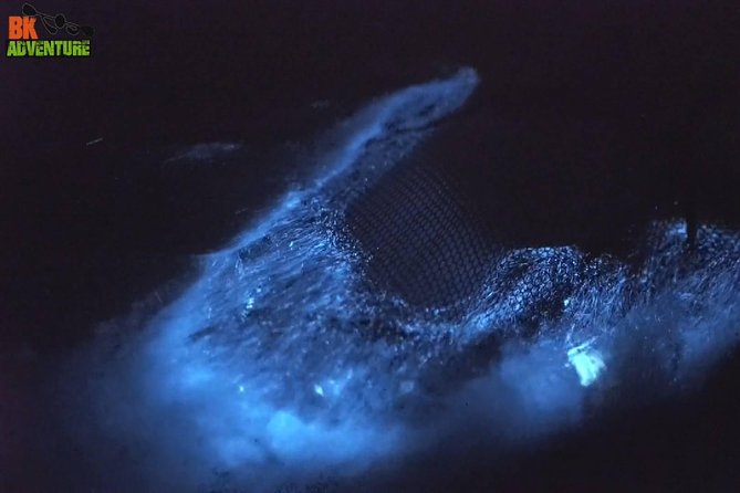 Bioluminescence Night Kayaking Tour of Merritt Island Wildlife Refuge - Who Is This Tour Best For?