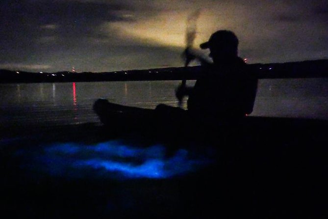 Bioluminescence Night Kayaking Tour of Merritt Island Wildlife Refuge - FAQ
