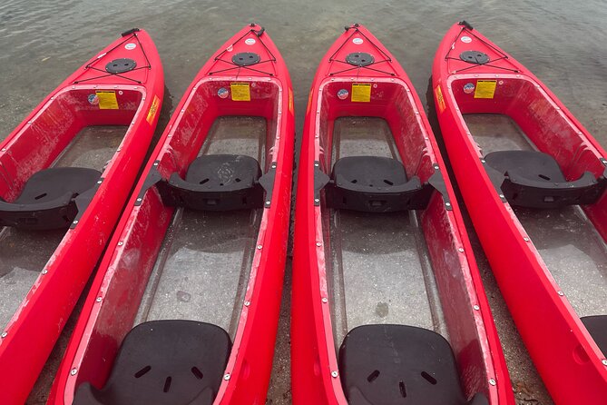 Bioluminescent Clear Bottom Kayak or Paddleboard Sit-On-Top Kayak Hybrid Tour! - An In-Depth Look at the Tour Experience
