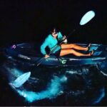 Bioluminescent Clear Bottom Kayak or Paddleboard Sit-On-Top Kayak Hybrid Tour! - The Value of This Experience