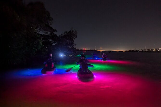 Bioluminescent Comb Jelly & LED Kayak / Paddle board Excursion - An Authentic Look at the Tour Experience
