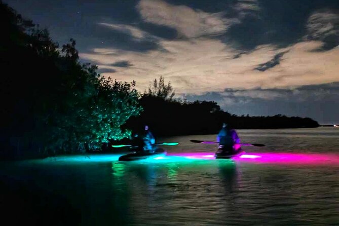 Bioluminescent Comb Jelly & LED Kayak / Paddle board Excursion - Practical Details to Know