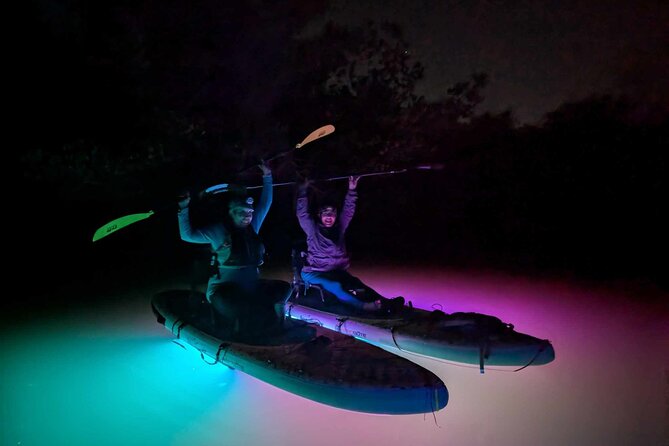 Bioluminescent Comb Jelly & LED Kayak / Paddle board Excursion - The Sum Up