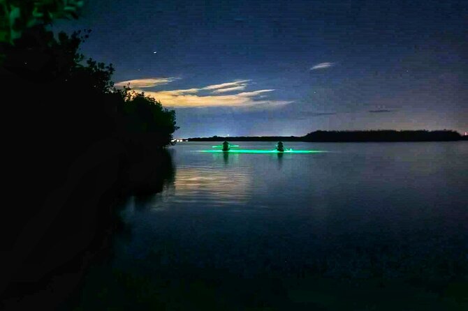 Bioluminescent Comb Jelly & LED Kayak / Paddle board Excursion - FAQ