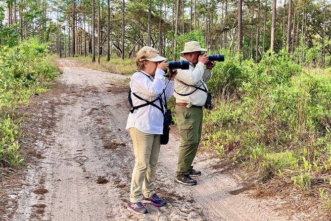 Birding and Wildlife Tour of Florida's Treasure Coast - Final Thoughts