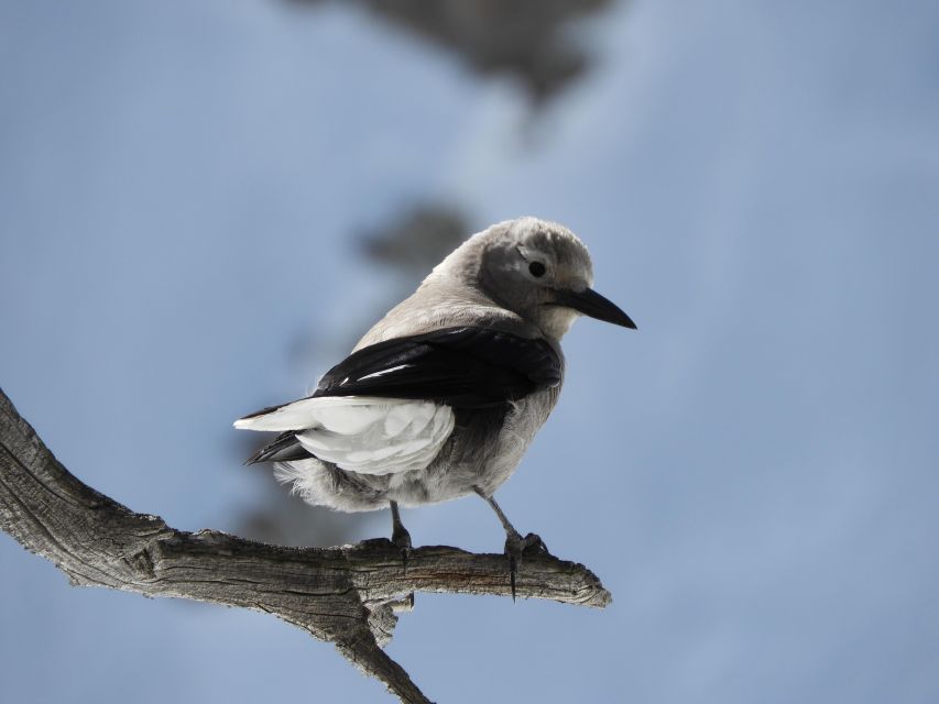 Birding Hike and Hot Spring Soak from Denver - The Experience in Detail