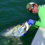 Biscayne Bay Inshore Flats Fishing - Who Is This Tour Perfect For?