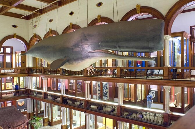 Bishop Museum General Admission Ticket - Exploring the Bishop Museum in Honolulu: An In-Depth Review