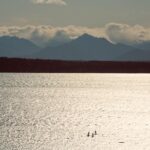 Bite-Sized Seattle History & Food Tour - Why You Should Consider This Tour