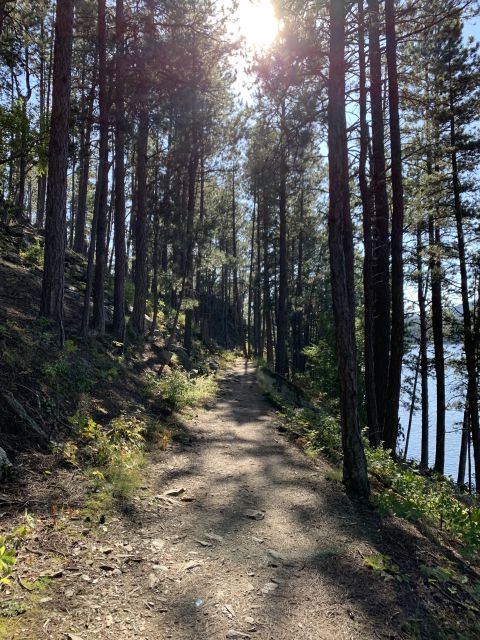 Black Hills: Private Tour of Mt. Rushmore & Flume Trail Hike - Exploring the Black Hills in Style
