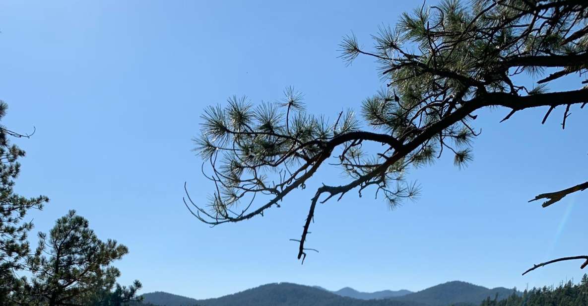 Black Hills: Private Tour of Mt. Rushmore & Flume Trail Hike - Lunchtime Flexibility and Scenic Hike