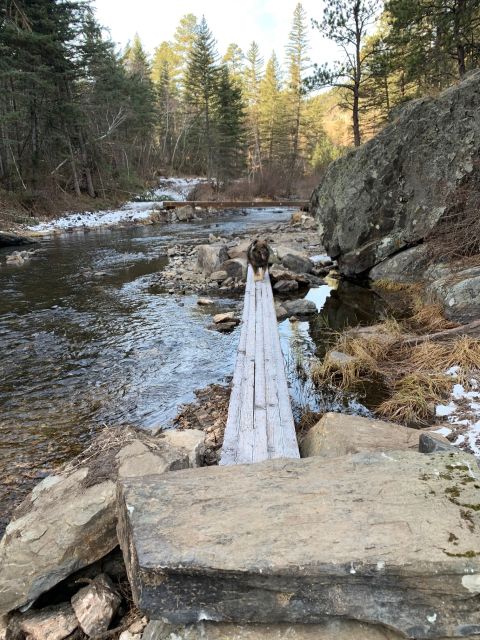 Black Hills: Private Tour of Mt. Rushmore & Flume Trail Hike - Who Will Benefit Most?