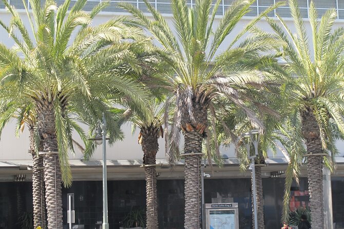 Black History Tours of South LA (Guided Van Tour) - Crenshaw - An In-Depth Look at the Tour Itinerary