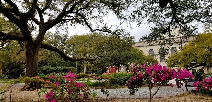 Black History & Tremè Neighborhood Walking Tour - What You Can Expect from the Tour