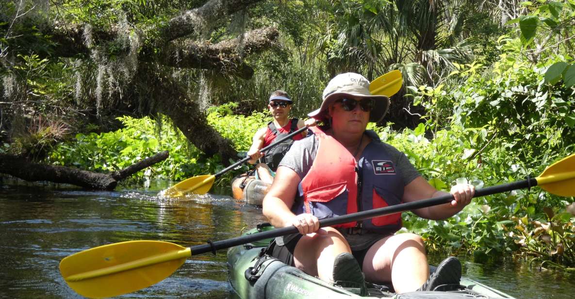 Blackwater Creek: Exclusive Nature Escape Kayak Adventure - Authentic Reviews and Real Experiences