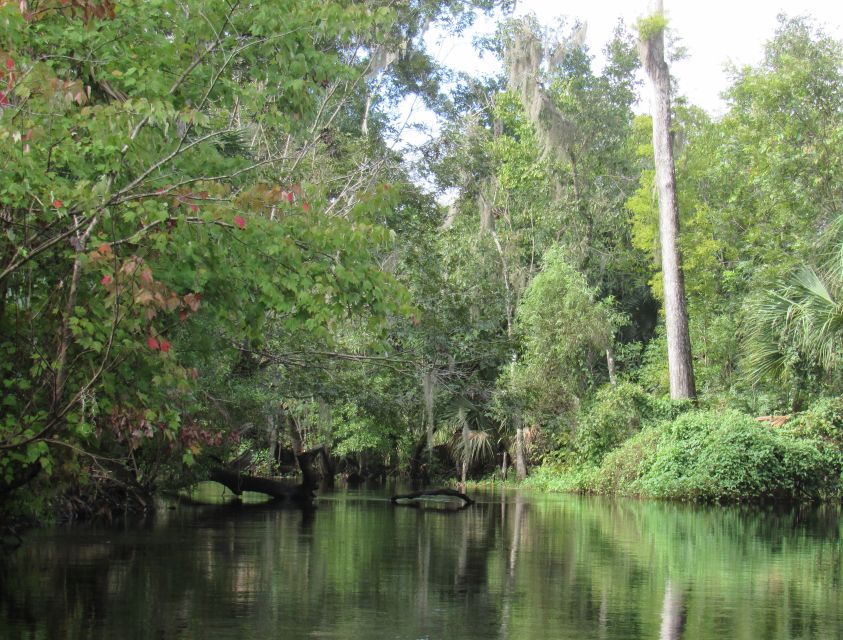 Blackwater Creek: Exclusive Nature Escape Kayak Adventure - FAQs