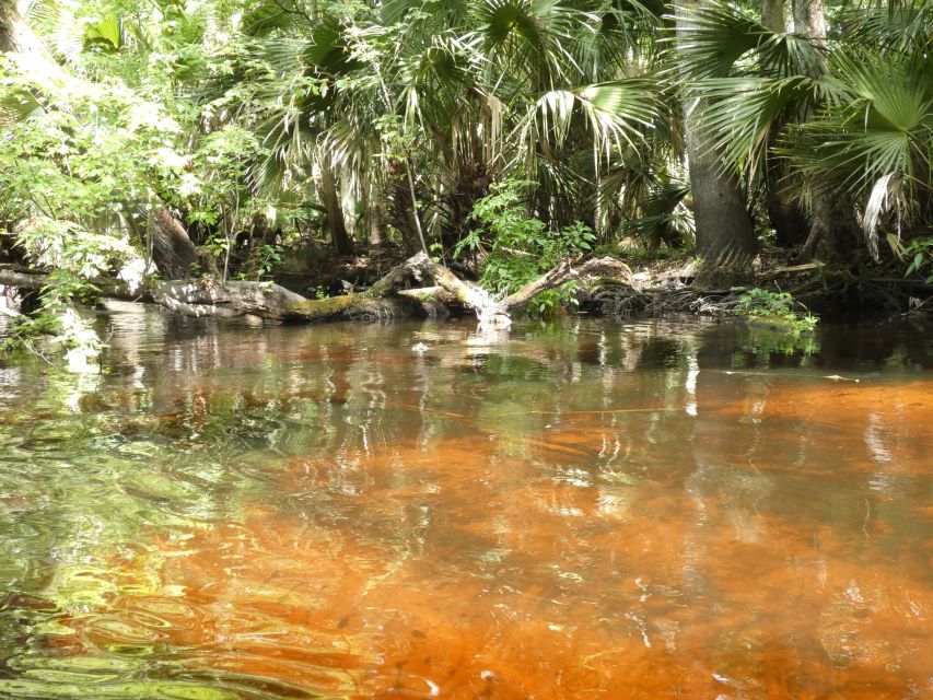 Blackwater Creek: Exclusive Nature Escape Kayak Adventure - Final Thoughts