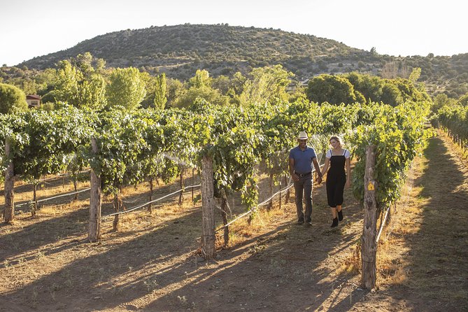 Bliss - Sedonas Most Luxurious Wine Tour - Lunch Included! - What’s Included and What’s Not