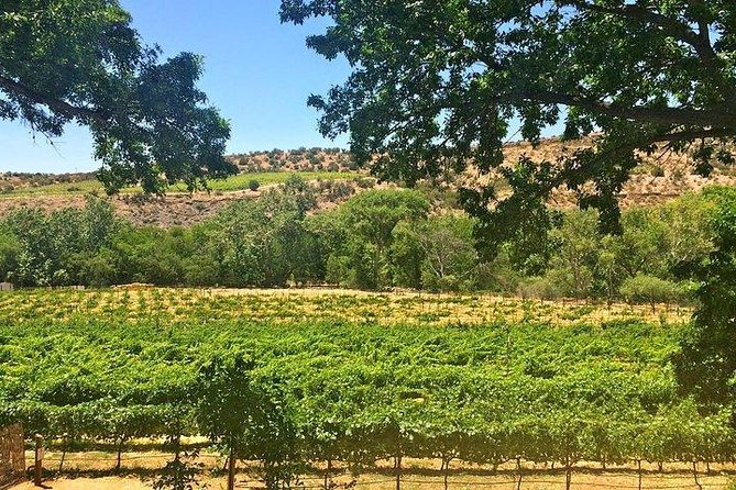 Bliss - Sedonas Most Luxurious Wine Tour - Lunch Included! - Guides, Group Size, and Overall Atmosphere