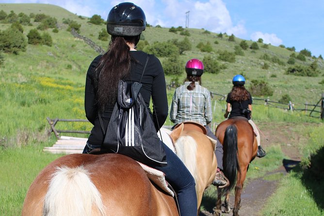 Blue Flower Trail Ride - Key Points