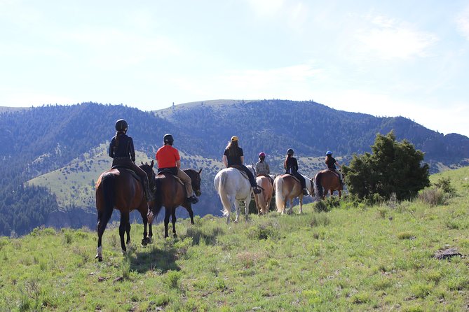 Blue Flower Trail Ride - Practical Details That Matter