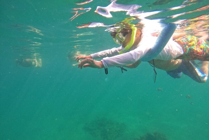 Blue Heron Bridge Guided Snorkel Tour - The Sum Up: Who Will Love This Tour?