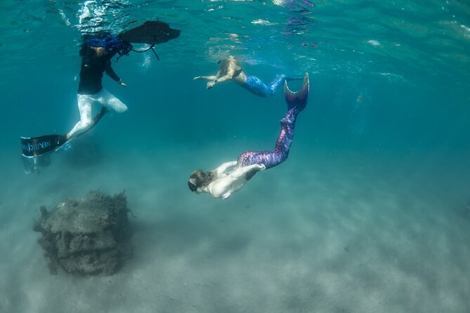 Blue Heron Bridge Mermaid Experience - Introduction: A Unique Mermaid Adventure in West Palm Beach