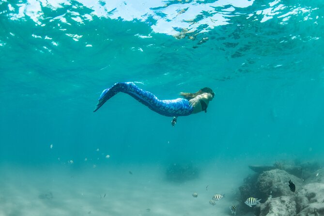 Blue Heron Bridge Mermaid Experience - Who Should Consider This Tour?