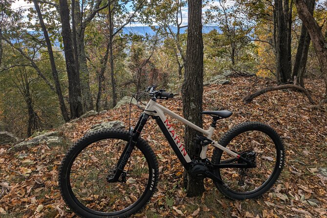 Blue Ridge Mountain E Bike Tour - Who Will Love This Tour?