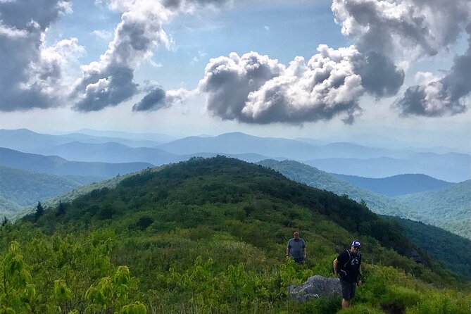 Blue Ridge Mtns Hiking Tour with the areas top rated trail expert - Who Will Love This Tour?