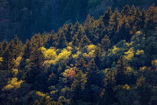 Blue Ridge Parkway (Cherokee to Asheville) Self-Guided Audio Tour - Frequently Asked Questions