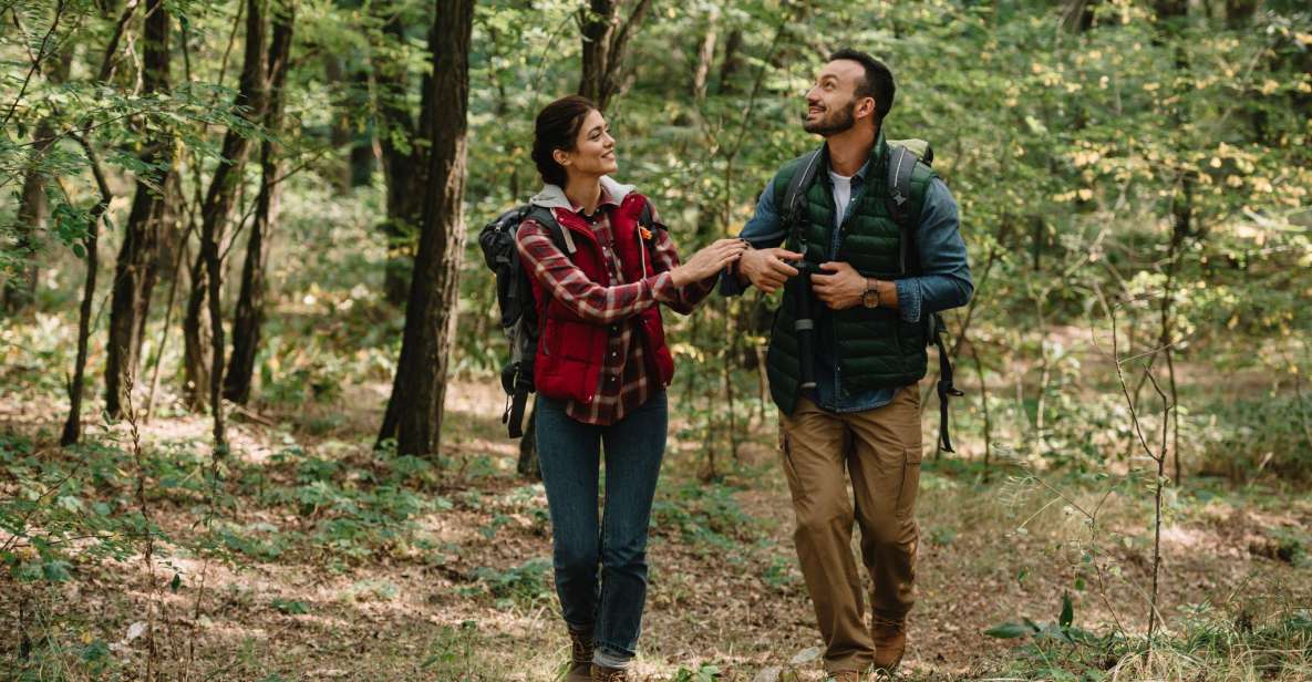 Blue Ridge Parkway Waterfalls: Hiking Tour from Asheville - Exploring the Blue Ridge Parkway Waterfalls: A Detailed Review of the Hiking Tour from Asheville