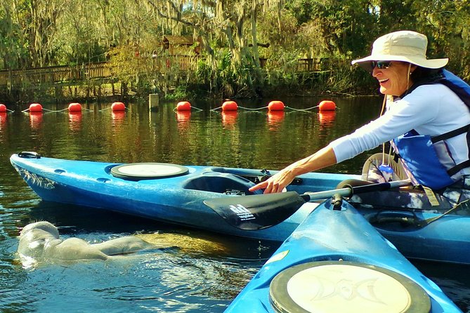 Blue Springs Manatee Tours & Wildlife Adventure Orlando - Who Should Consider This Tour?