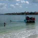 Boat Rentals in Shell Key - What to Expect from Your Boat Rental Experience
