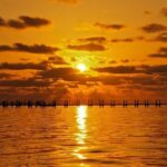 Boca Grande Inshore Fishing Charter - What Fish Can You Expect?