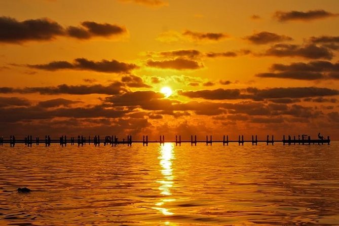 Boca Grande Inshore Fishing Charter - What Fish Can You Expect?