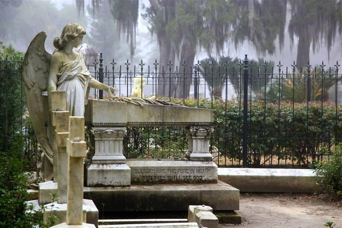 Bonaventure Cemetery Private Day Tour with Shannon Scott - The Sum Up