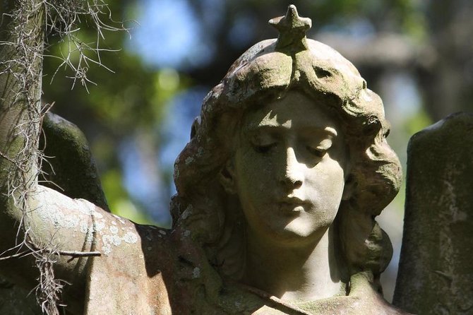 Bonaventure Cemetery Walking Tour with Transportation - Why This Tour Offers Great Value
