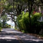 Bonaventure Cemetery & Wormsloe State Historic Site Tour - What Makes This Tour Stand Out?