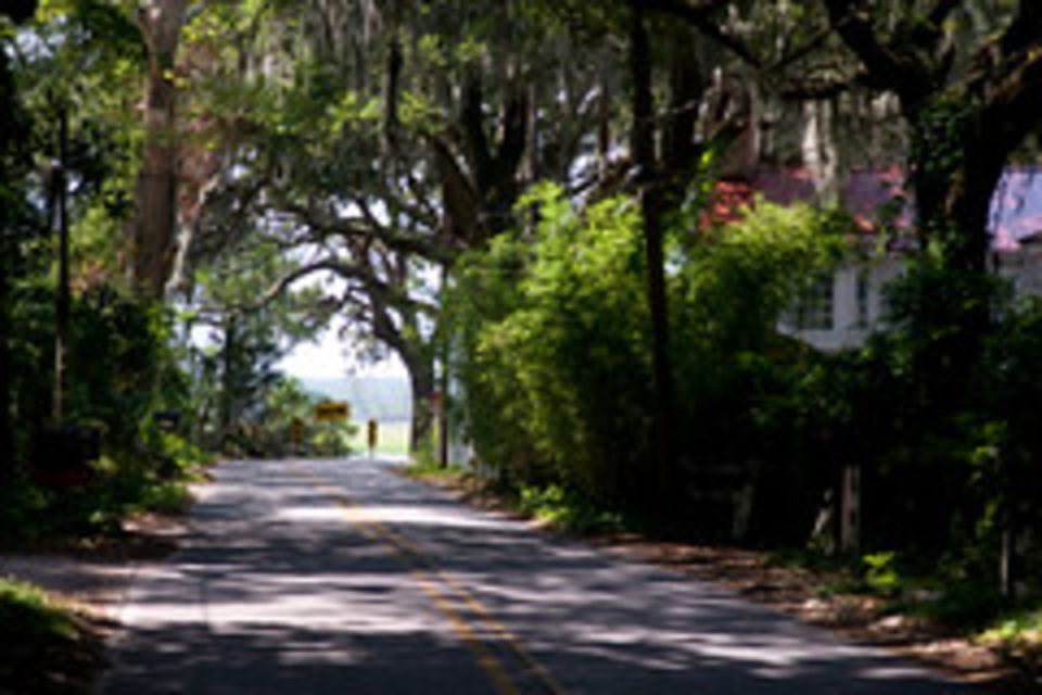 Bonaventure Cemetery & Wormsloe State Historic Site Tour - What Makes This Tour Stand Out?