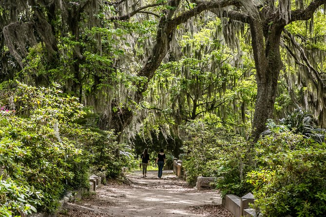 Bonaventure Cemetery & Wormsloe State Historic Site Tour - The Itinerary: What You’ll Actually Do