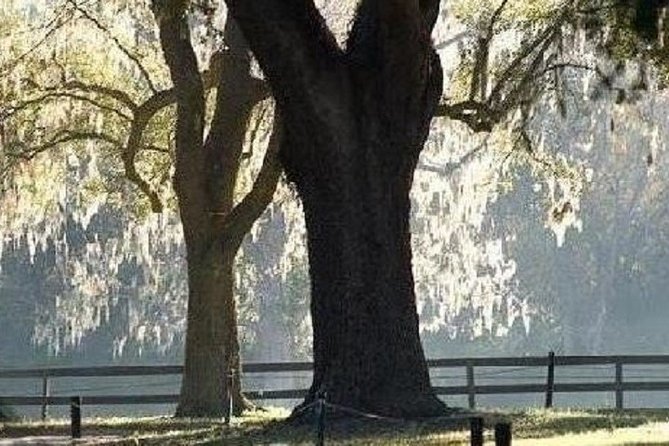 Boone Hall Plantation Admission & Tour with Transportation from Charleston - FAQs