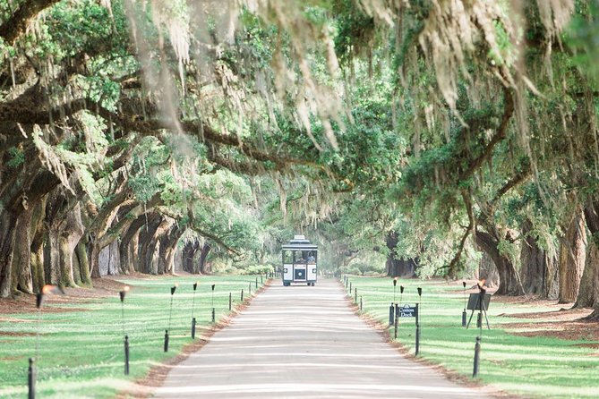 Boone Hall Plantation All-Access Admission Ticket - Deep Dive into the Experience