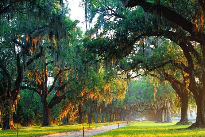 Boone Hall Plantation All-Access Admission Ticket - Practical Tips and Considerations