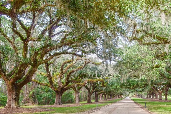 Boone Hall Plantation All-Access Admission Ticket - FAQ